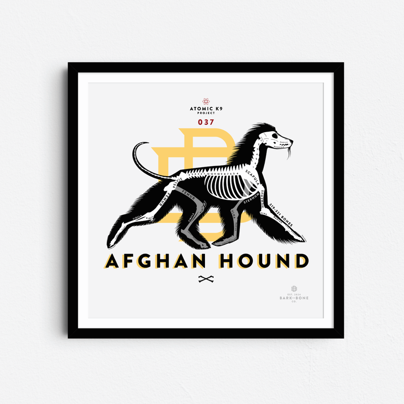 All Breeds – Bark and Bone